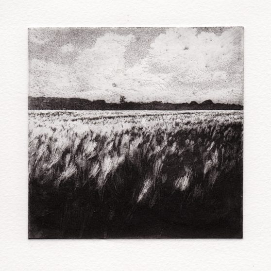 Graphic Designer Steve Crooks - Freelance Creative Design and Concepts